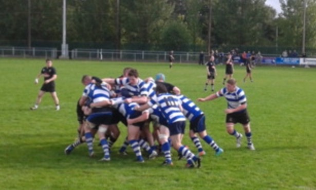 Limerick Rugby - Limerick Rugby